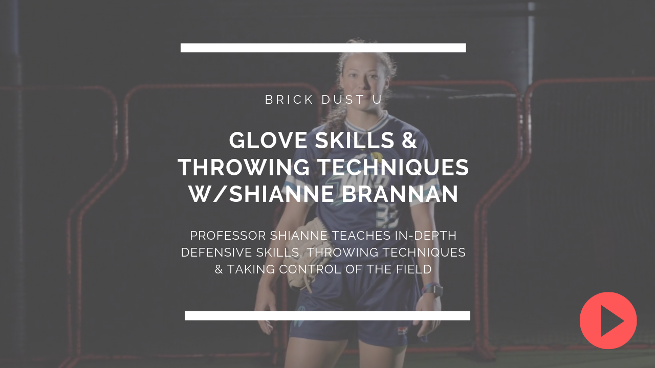 Applied Vision Softball – Softball Pitch Recognition Training, Training ...