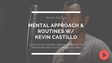 Applied Vision Softball – Softball Pitch Recognition Training, Training ...